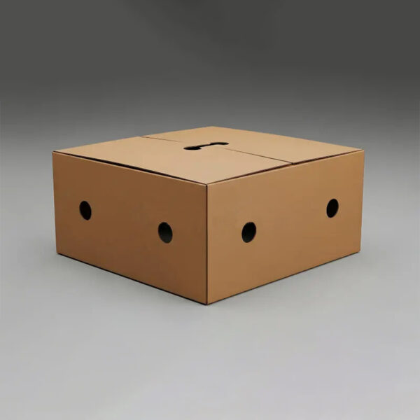 Cardboard Boxes With Holes for Storage & Transport | SCB