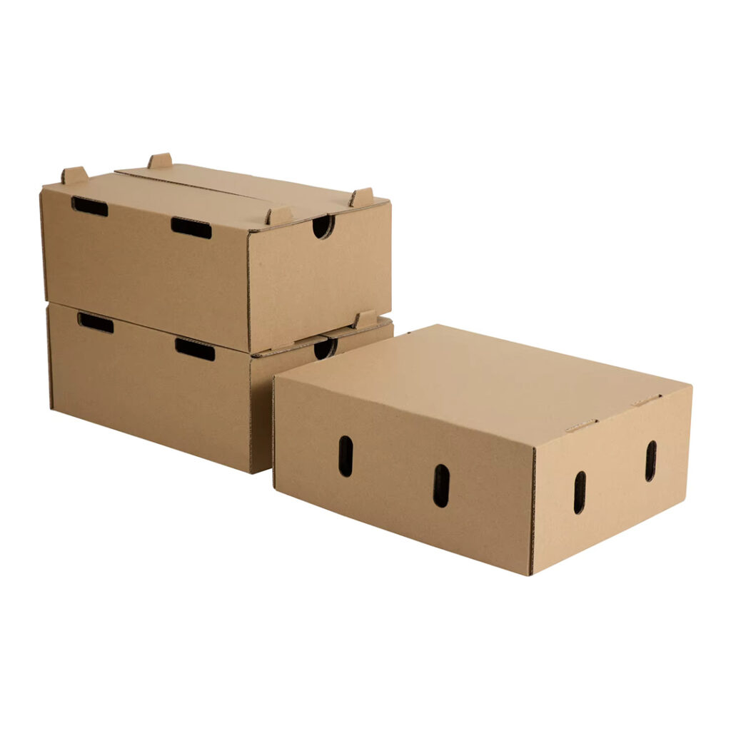 Cardboard Boxes With Holes for Storage & Transport | SCB